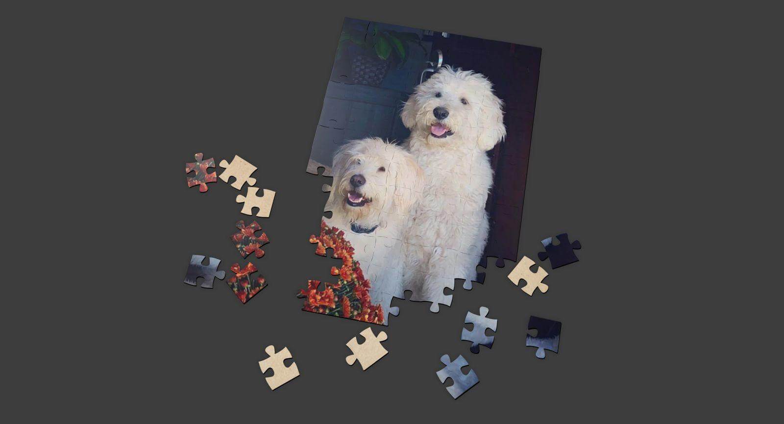 Custom Puzzle - 3D Model by dcbittorf