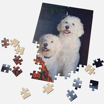 Custom Puzzle - 3D Model by dcbittorf