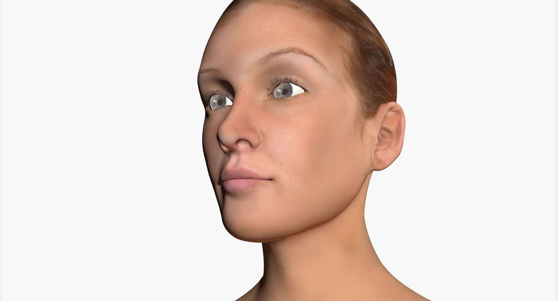 Female Full Body Anatomy - 3D Model by dcbittorf