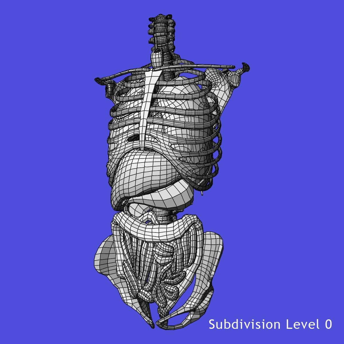 Human Anatomy Study Torso - 3D Model by dcbittorf