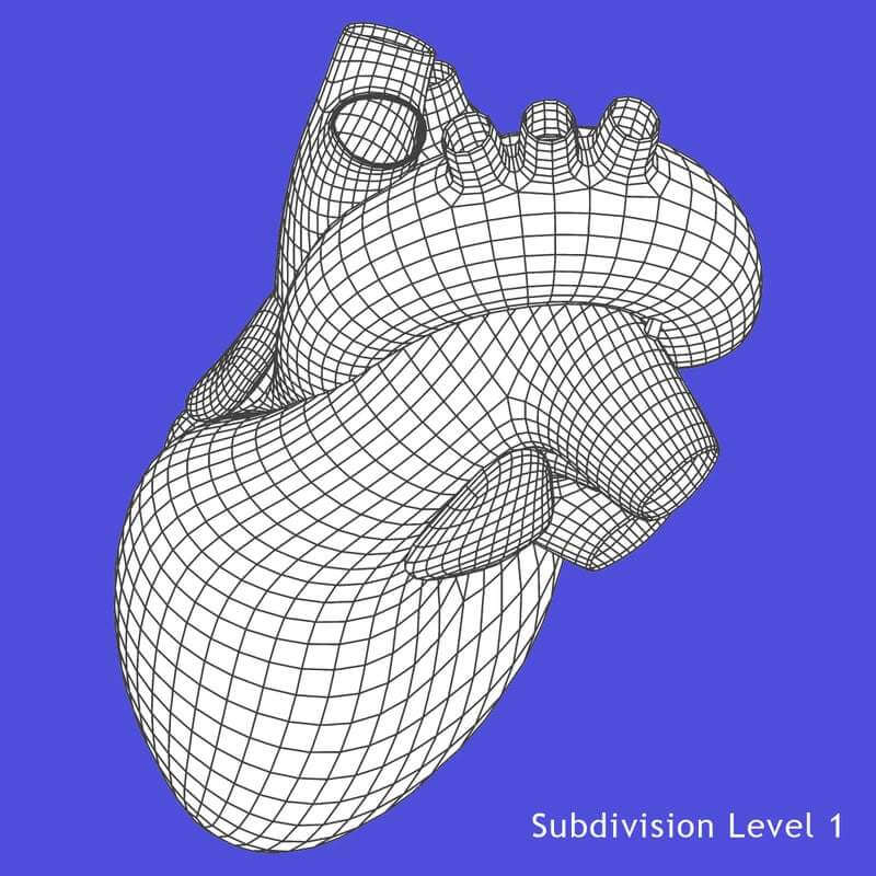 Human Heart - 3D Model by dcbittorf