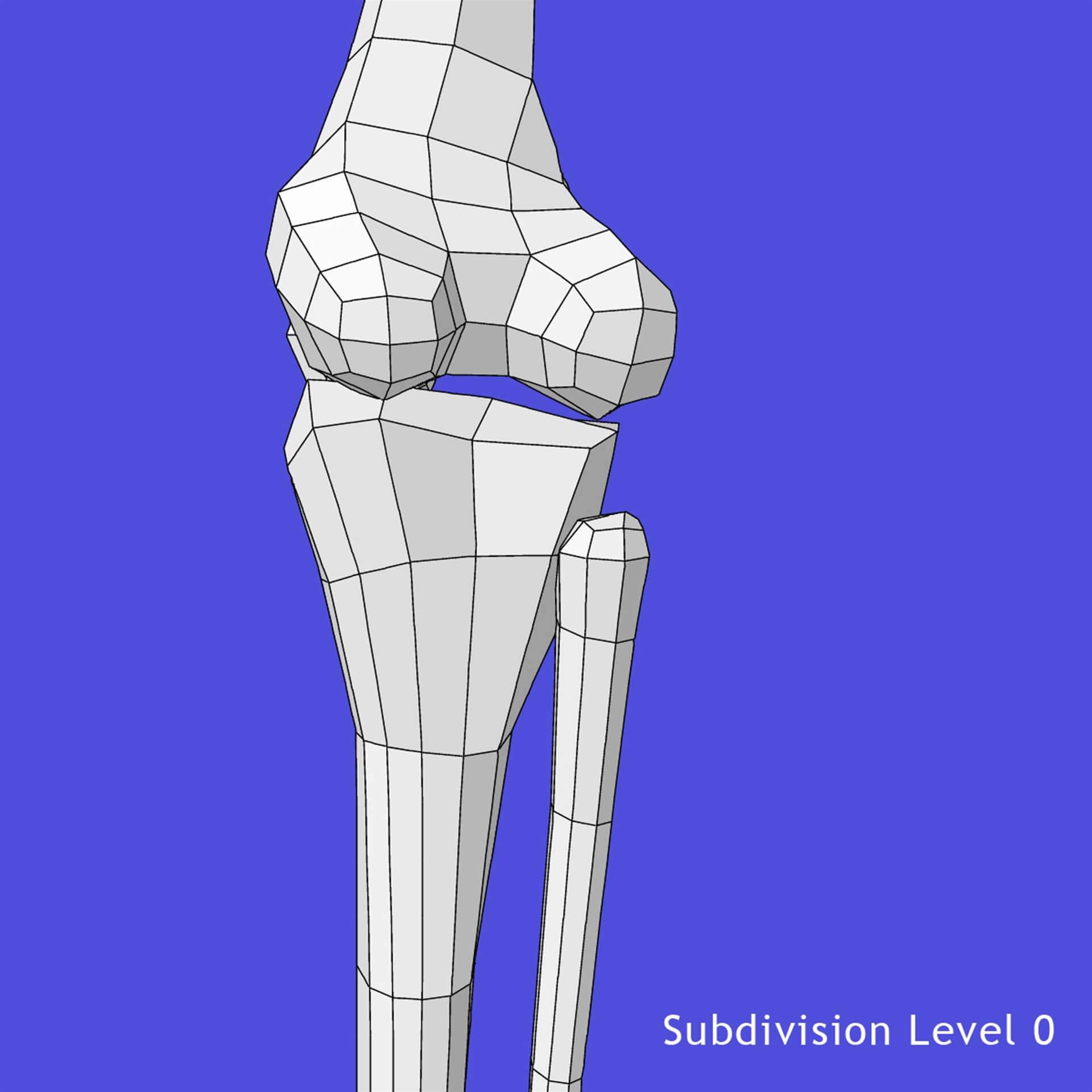 Human Skeleton with Organs - 3D Model by dcbittorf