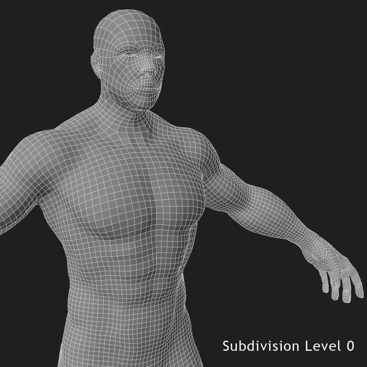 Male Base Mesh - 3D Model by dcbittorf
