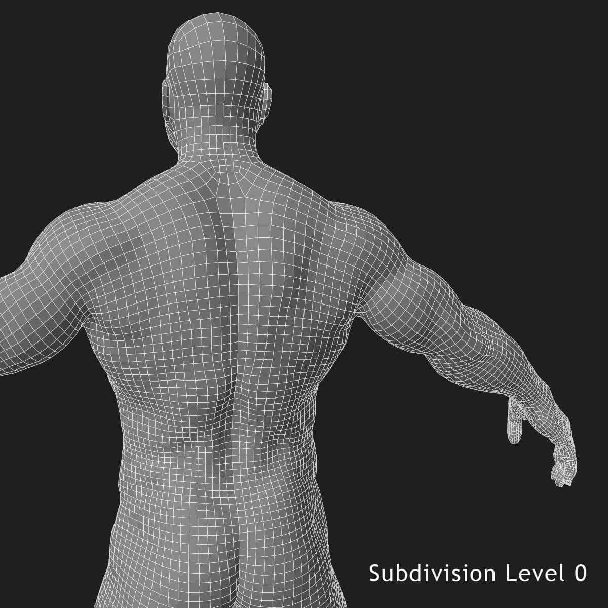 Male Base Mesh - 3D Model by dcbittorf