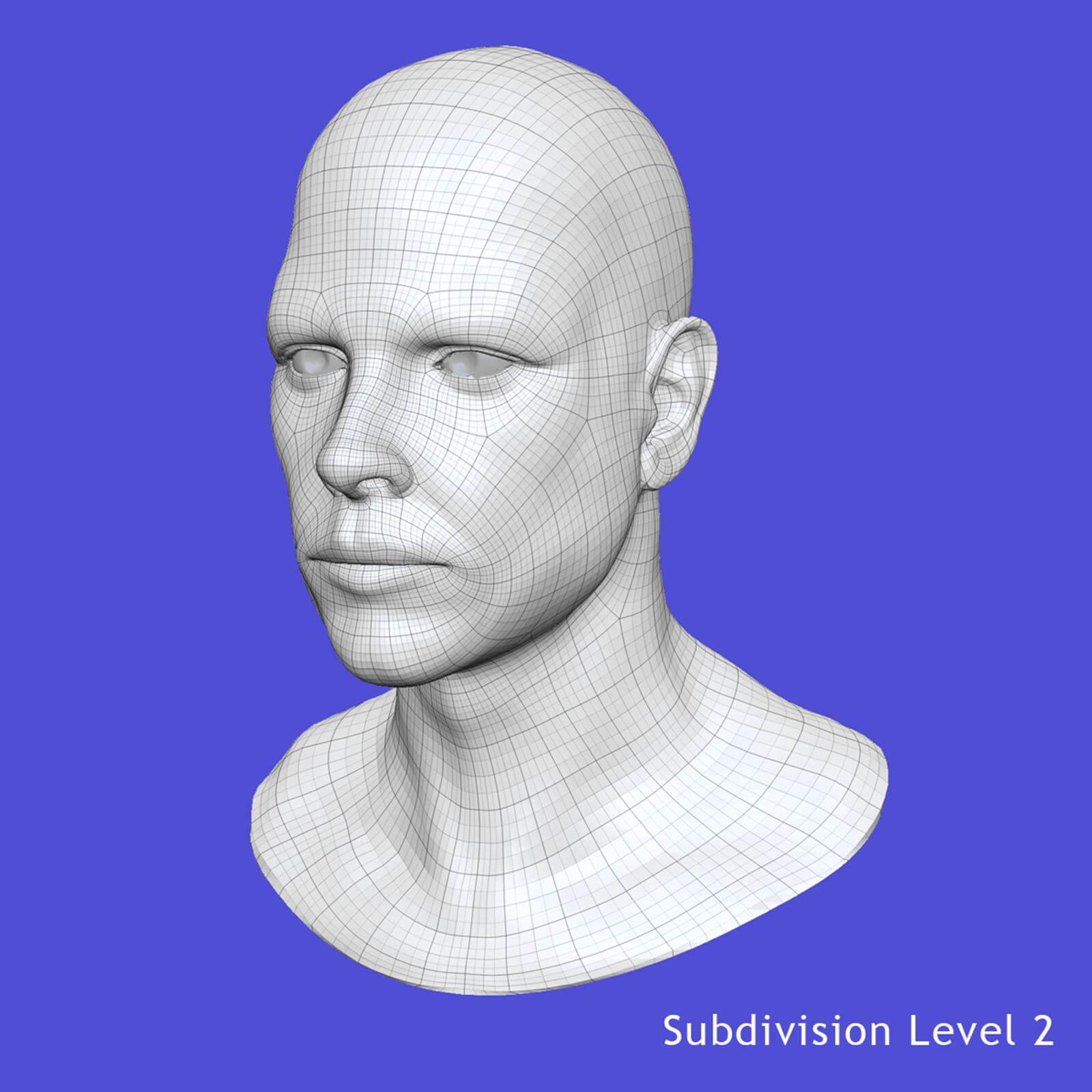 Male Face - 3D Model by dcbittorf
