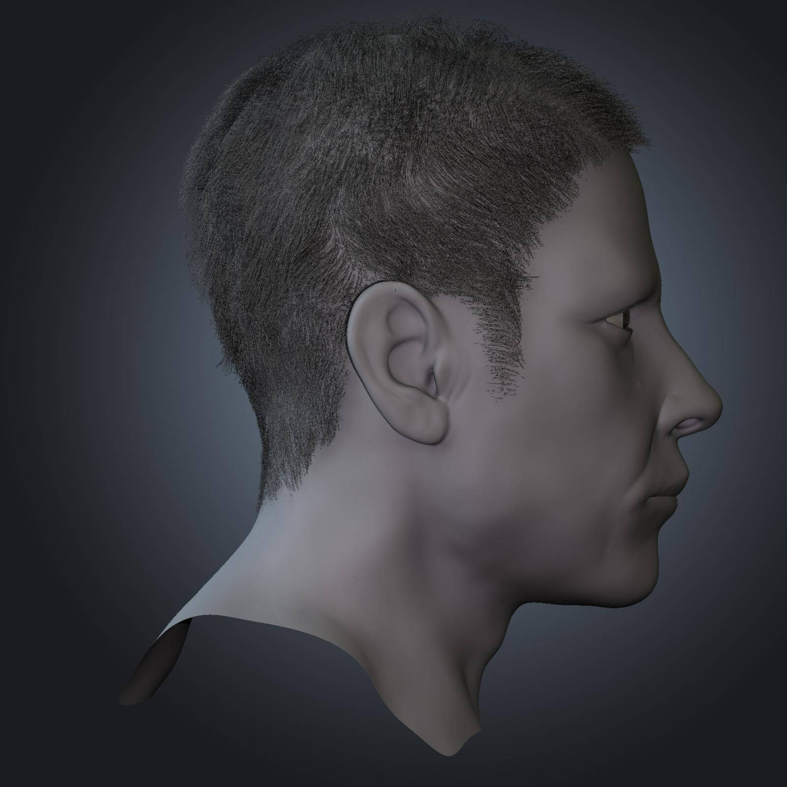 Male Face - 3D Model by dcbittorf