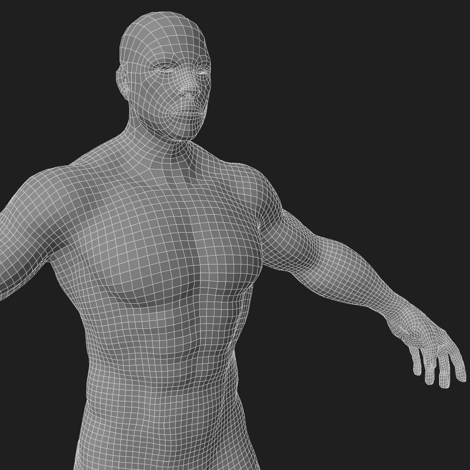 Male Full Body Anatomy - 3D Model by dcbittorf