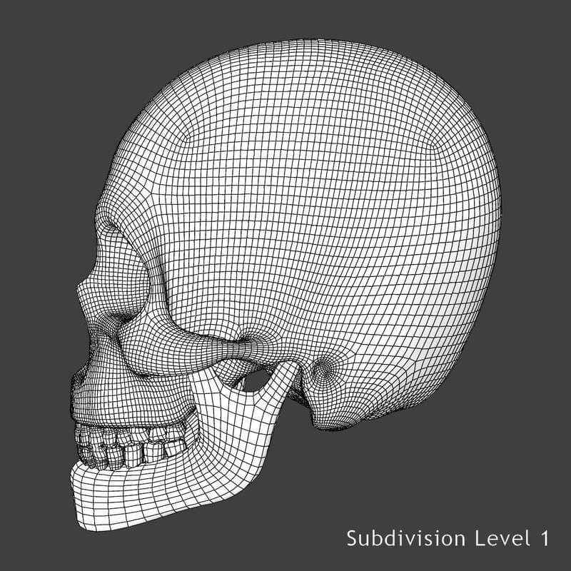 Male Skeleton - 3D Model by dcbittorf