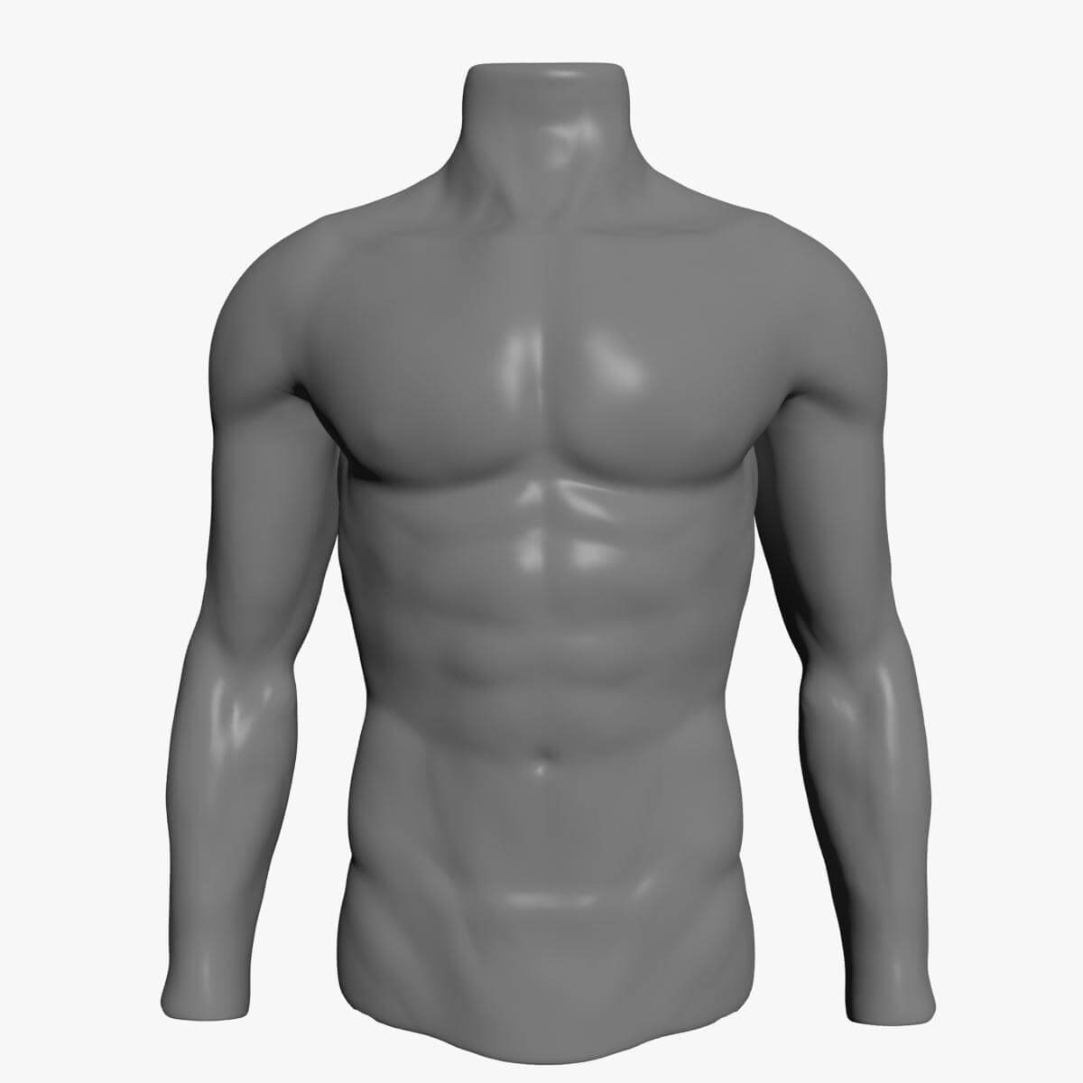 Male Torso Mannequin - 3D Model by dcbittorf