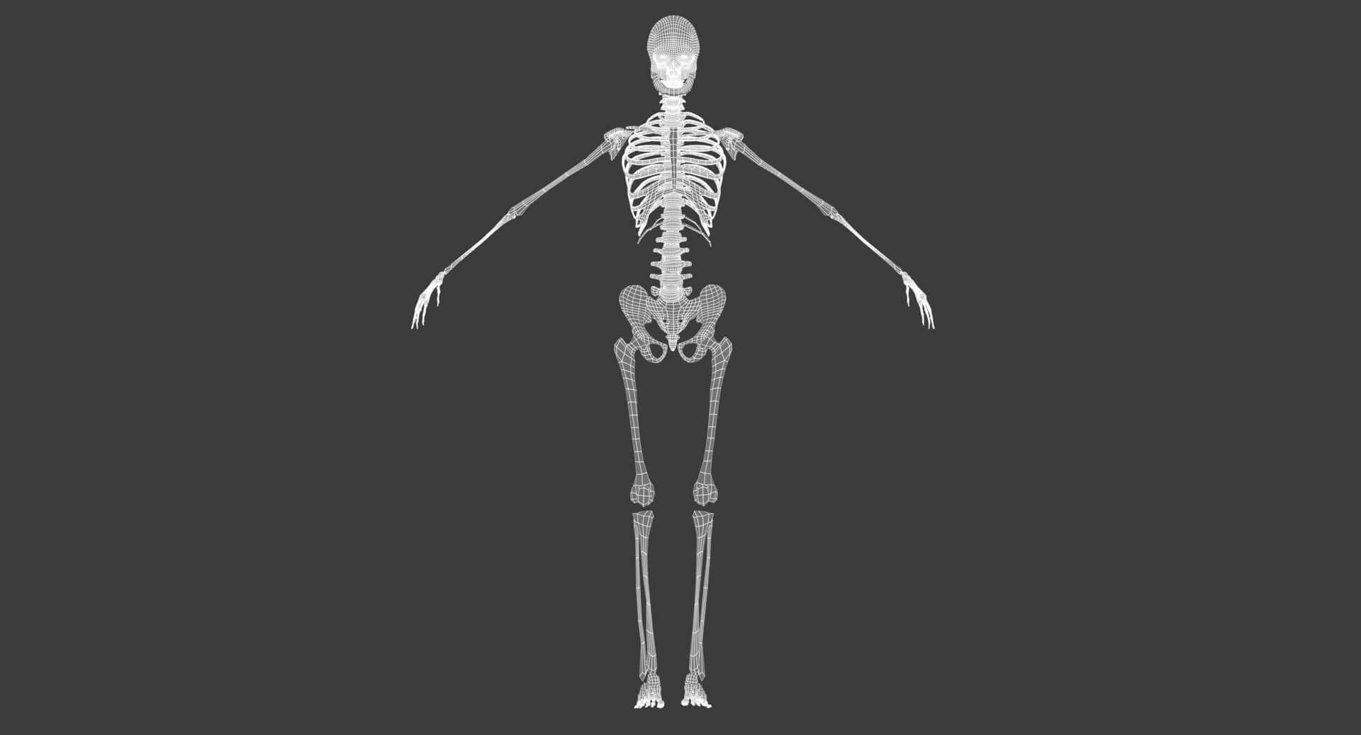 Motion Capture Female Anatomy - 3D Model by dcbittorf