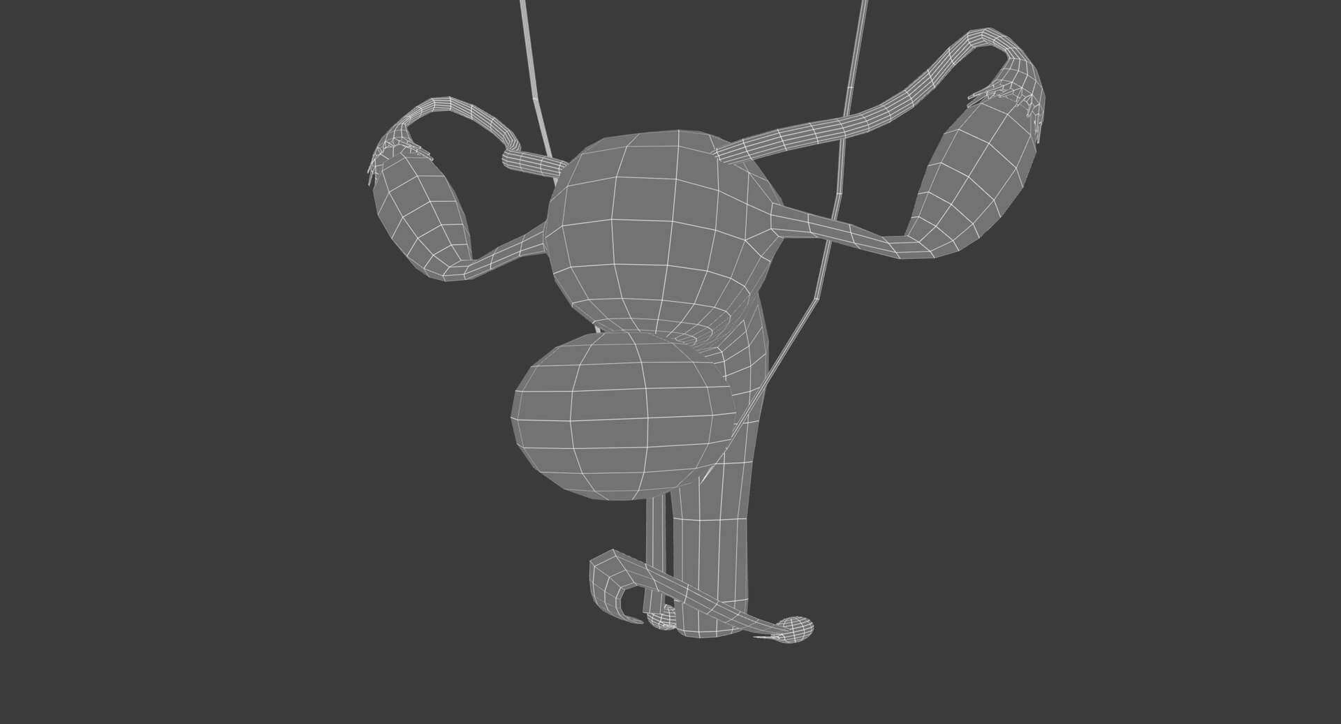 Motion Capture Female Anatomy - 3D Model by dcbittorf