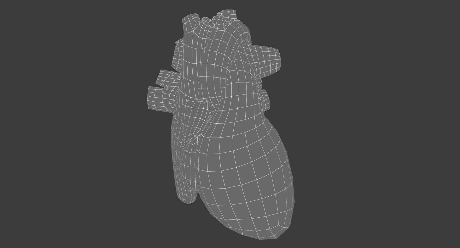 Motion Capture Female Anatomy - 3D Model by dcbittorf