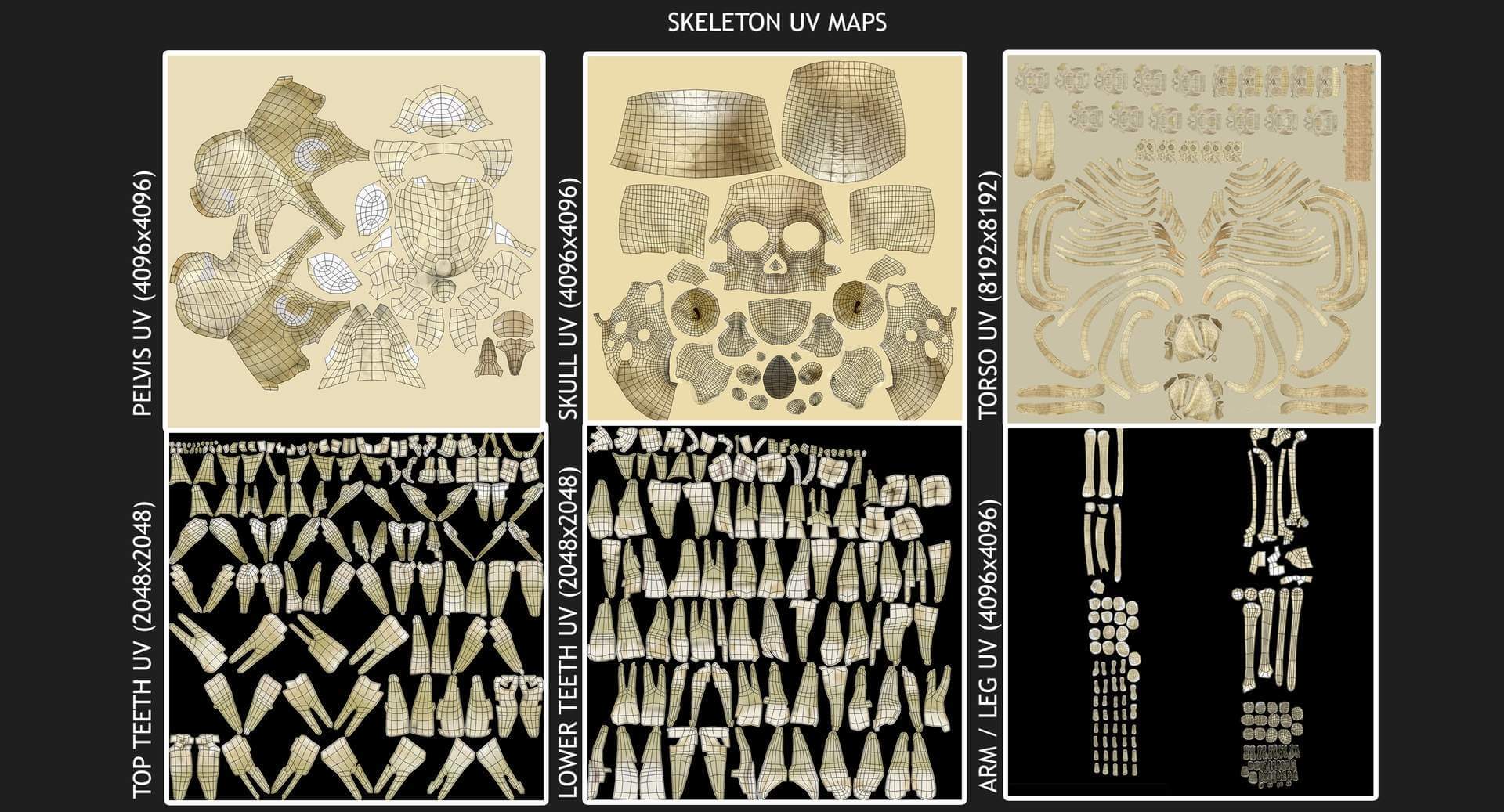 Motion Capture Female Anatomy - 3D Model by dcbittorf