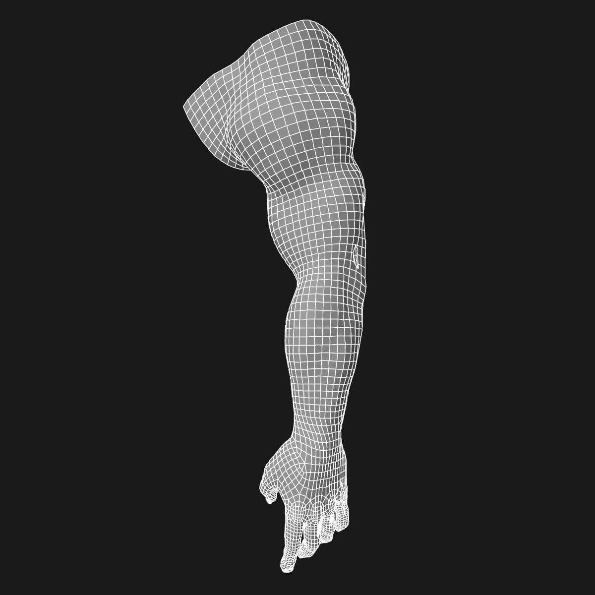 Muscles of the Human Arm - 3D Model by dcbittorf