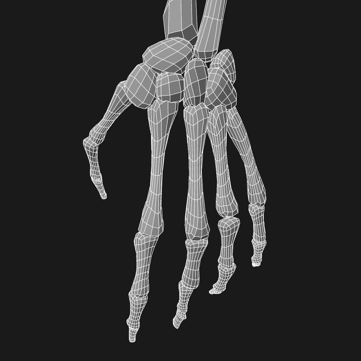 Muscles of the Human Arm - 3D Model by dcbittorf