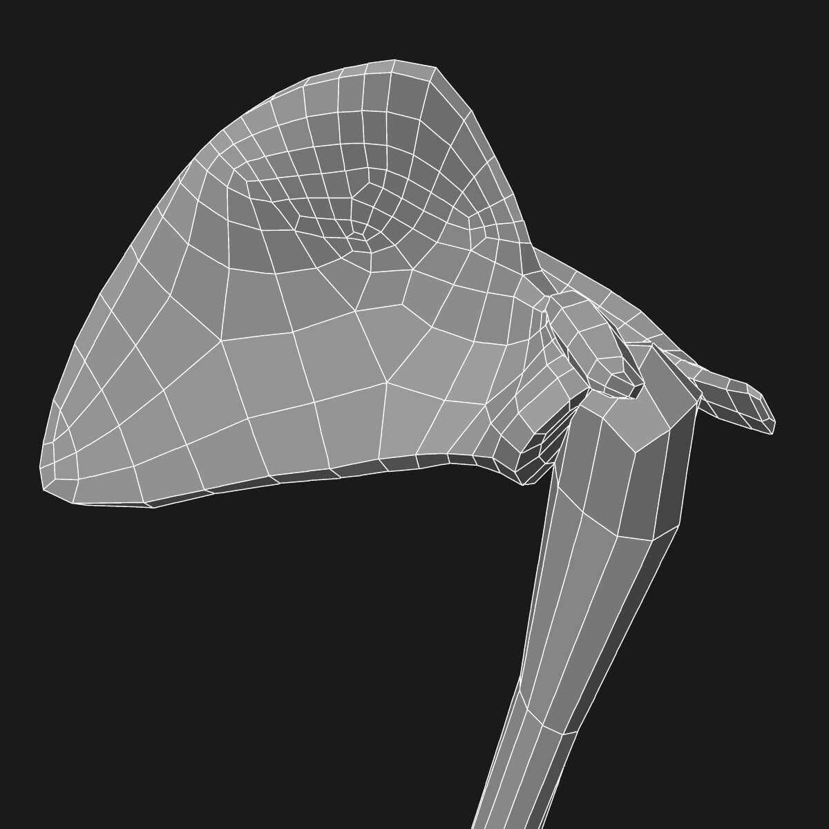 Muscles of the Human Arm - 3D Model by dcbittorf