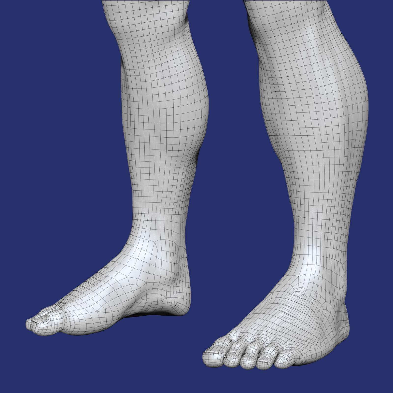 Planes of Body Male - 3D Model by dcbittorf