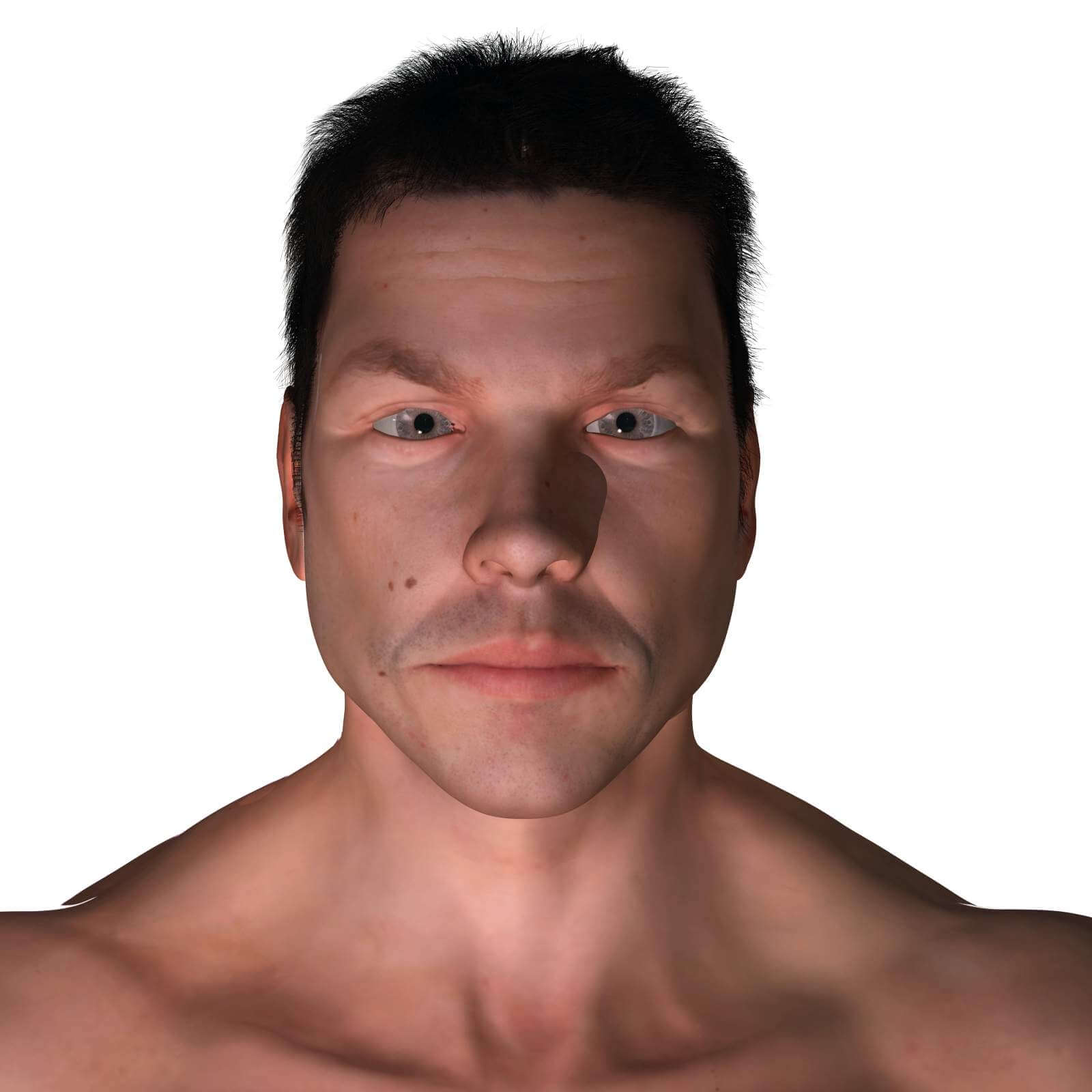 Planes of Body Male - 3D Model by dcbittorf