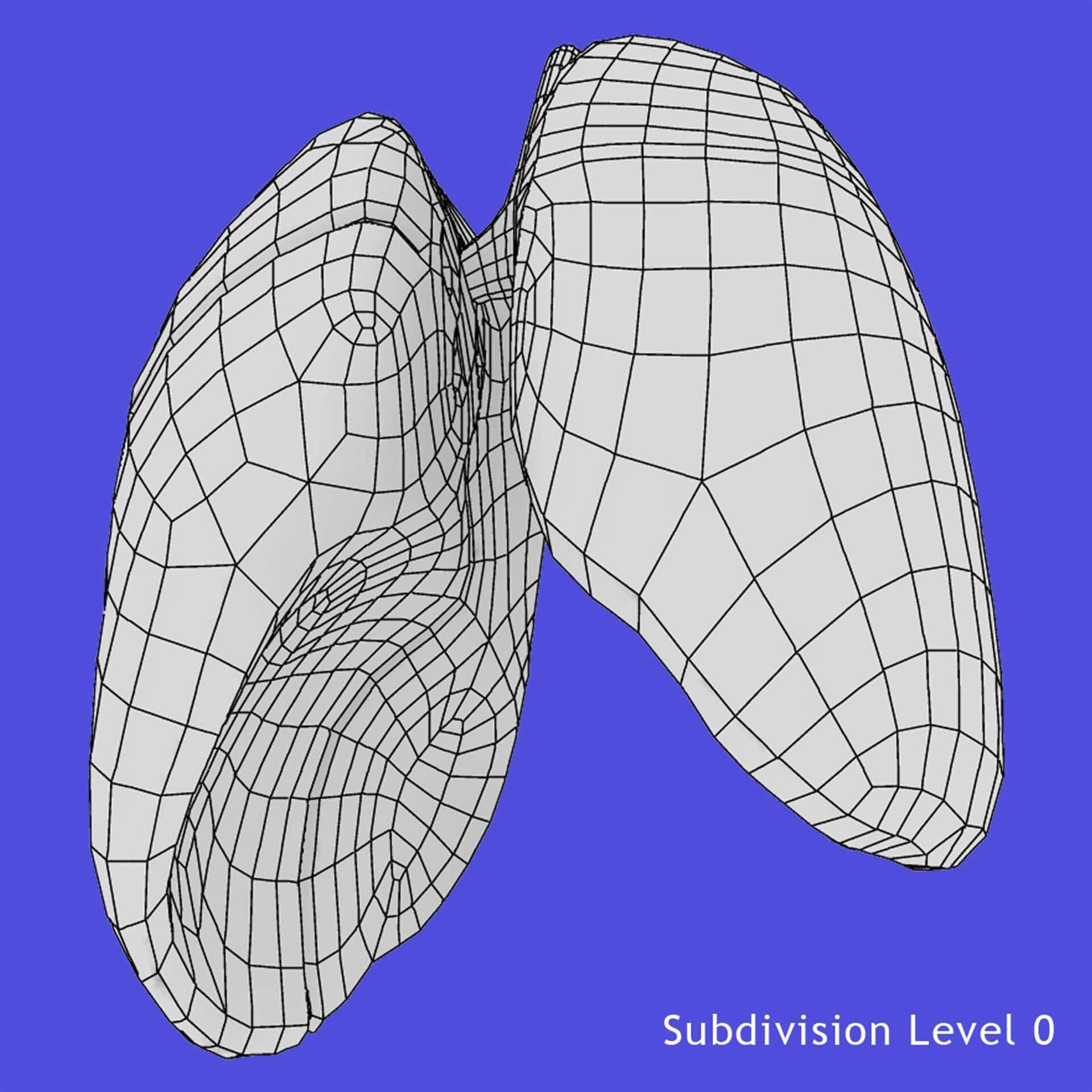 Human Lungs - 3D Model by dcbittorf