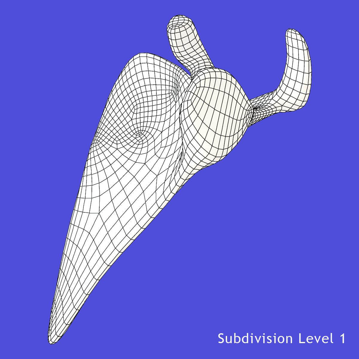 Skeleton Scapula - 3D Model by dcbittorf