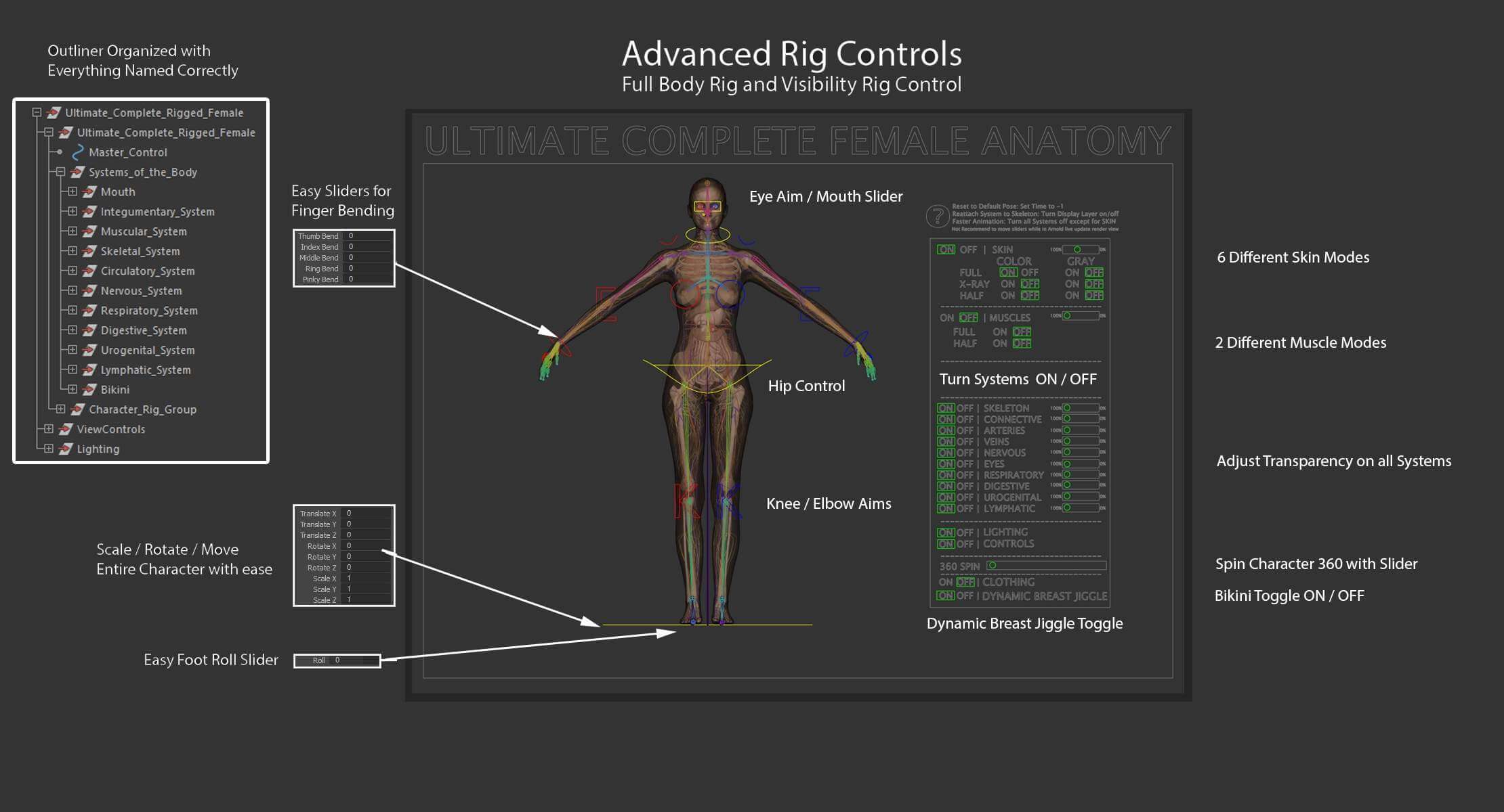 Ultimate Complete Rigged Female - 3D Model by dcbittorf