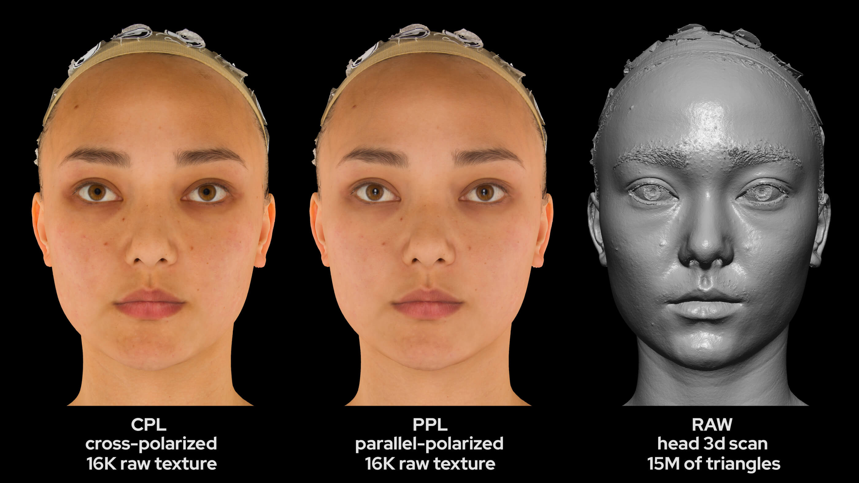Asian Female 20S Head Scan 015 - 3D Model by deep3dstudio