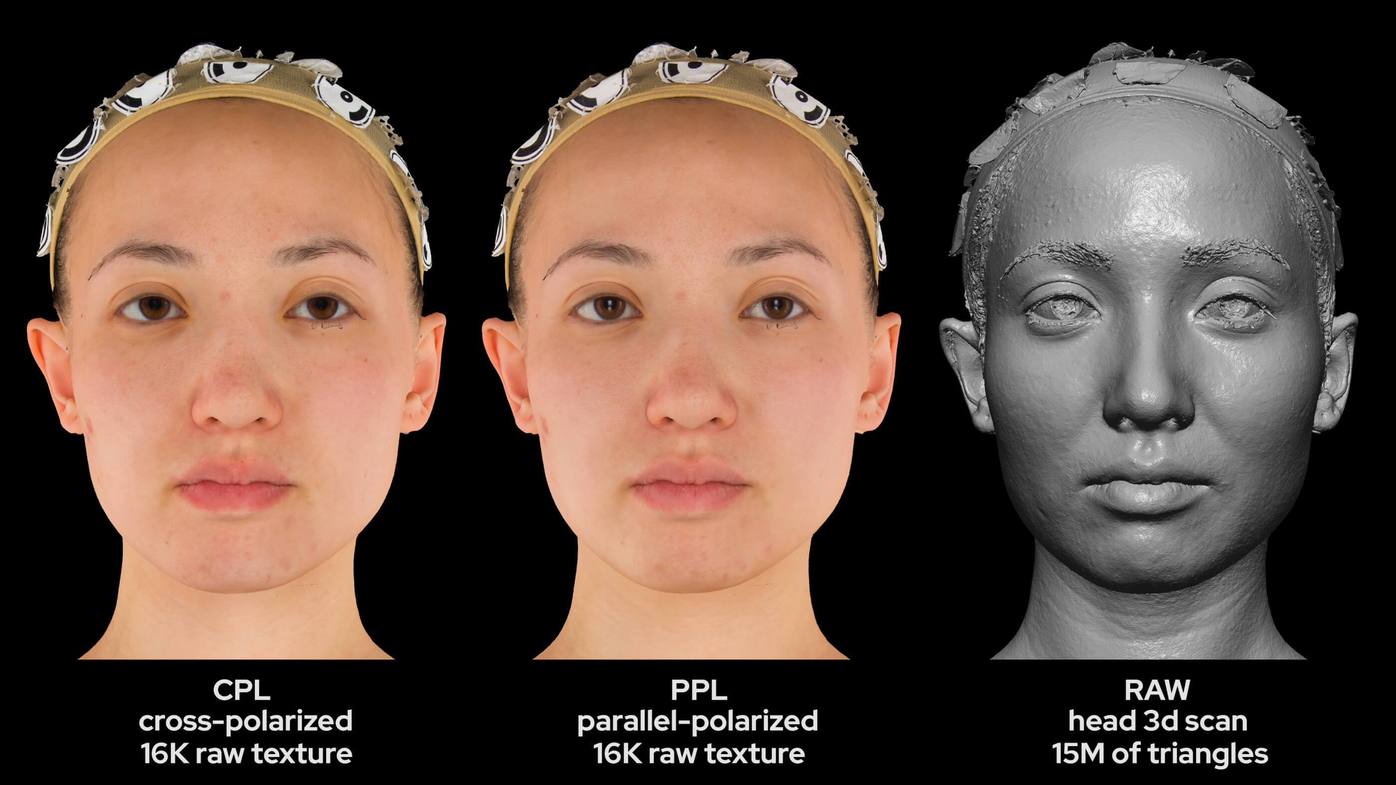 Asian Female 30S Head Scan 020 - 3D Model by deep3dstudio