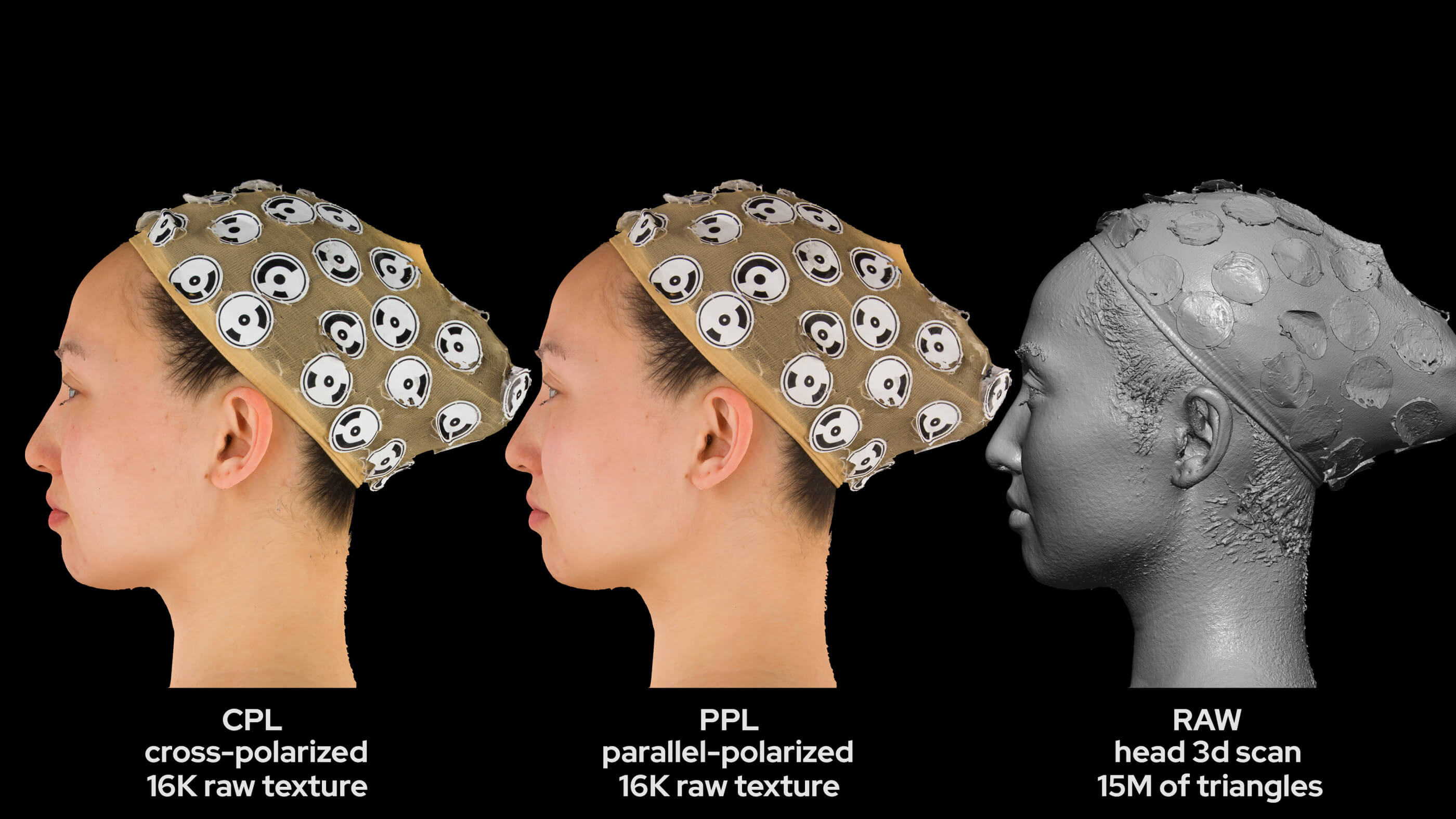 Asian Female 30S Head Scan 020 - 3D Model by deep3dstudio