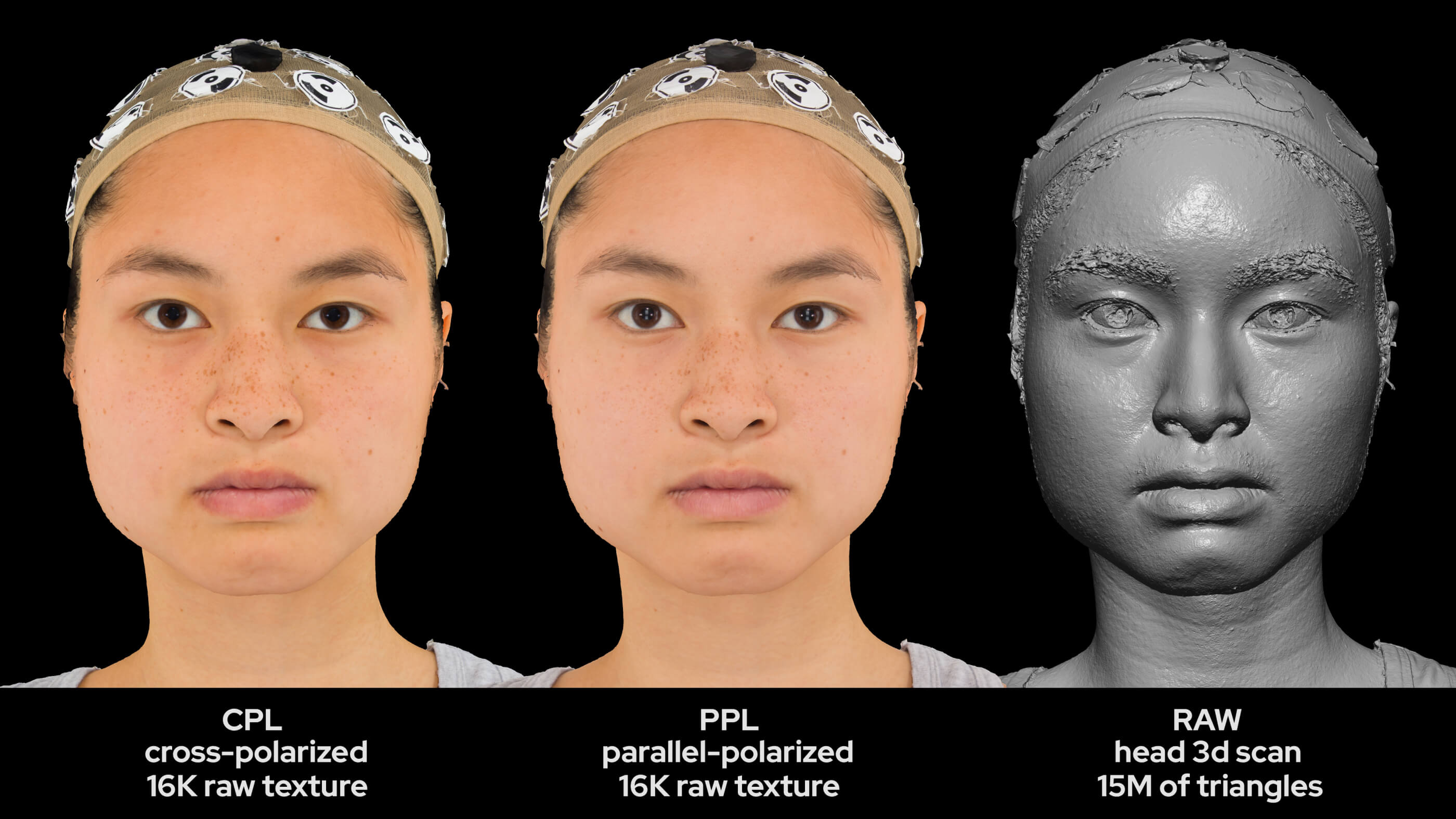 Asian Female 30S Head Scan 036 - 3D Model by deep3dstudio