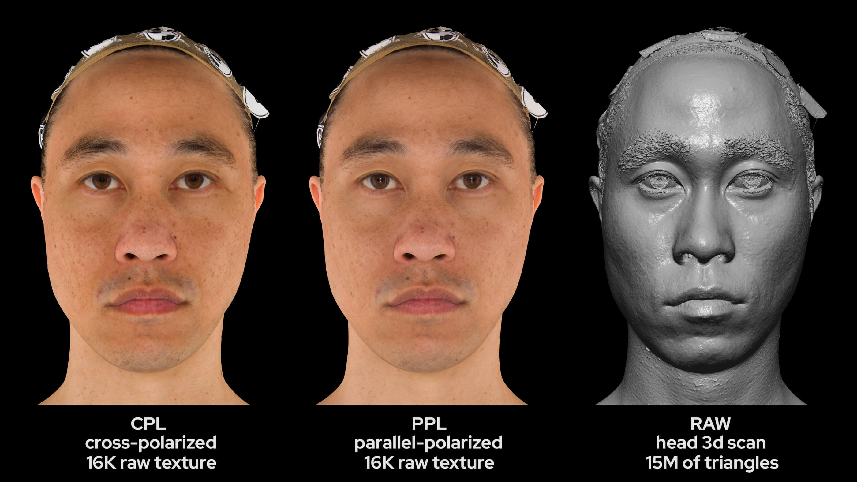 Asian Male 30S Head Scan 012 - 3D Model by deep3dstudio