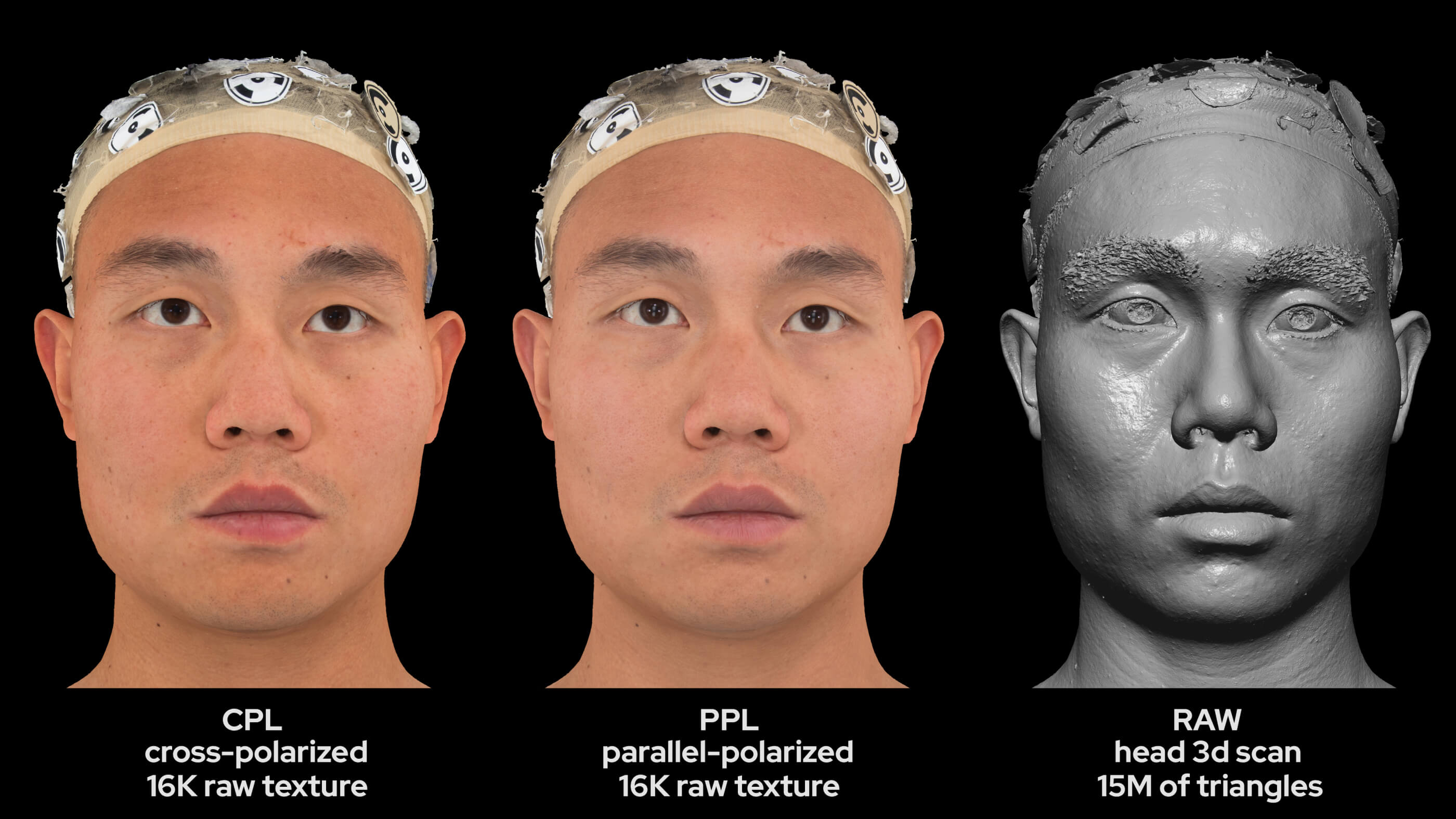 Asian Male 30S Head Scan 044 - 3D Model by deep3dstudio