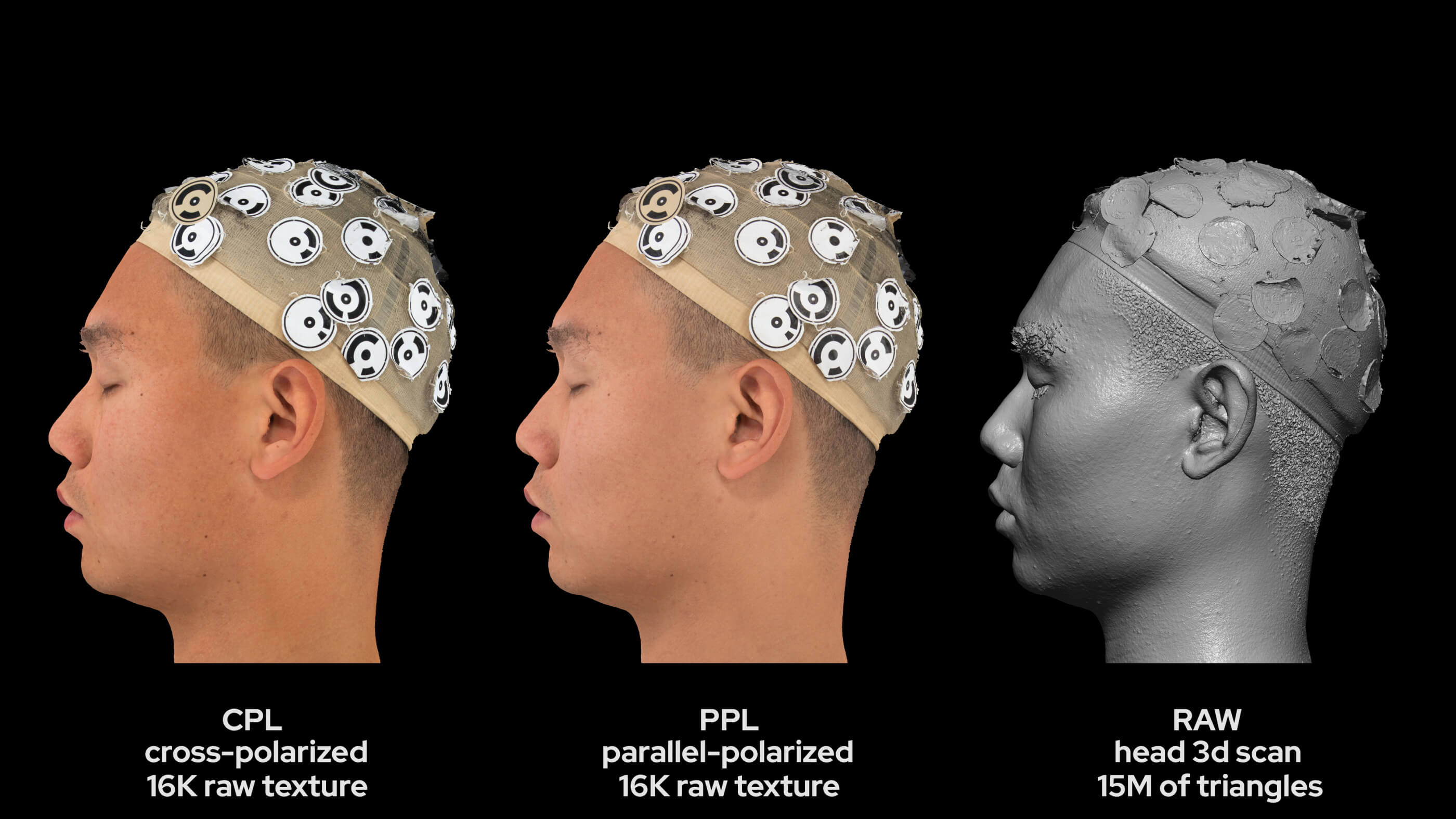 Asian Male 30S Head Scan 044 - 3D Model by deep3dstudio