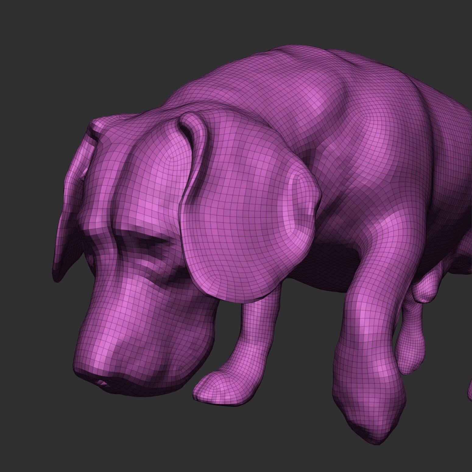 Beagle dog 40 - 3D Model by deep3dstudio