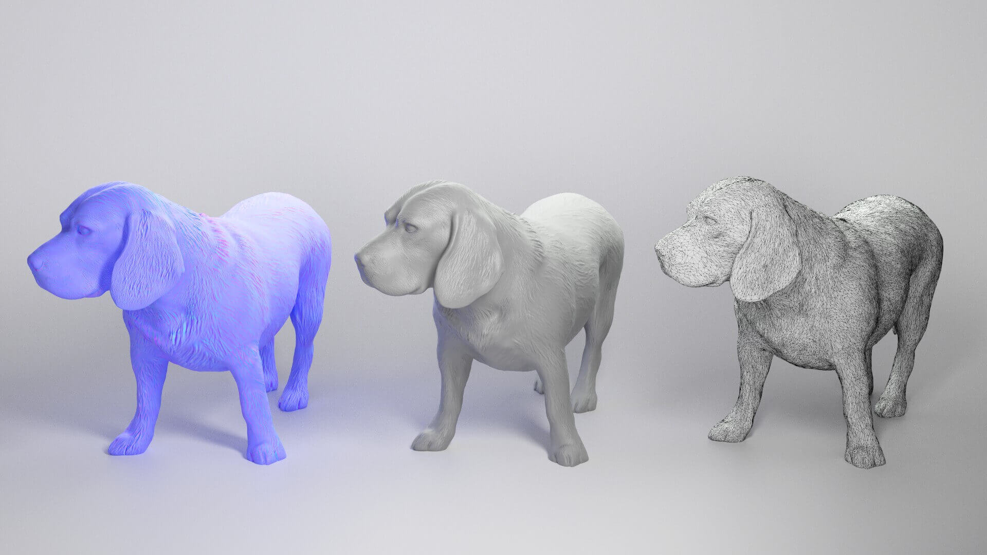 Beagle Dog 09 - 3D Model by deep3dstudio