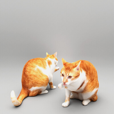 Ztl 3D Models | Animals | Cats | RenderHub