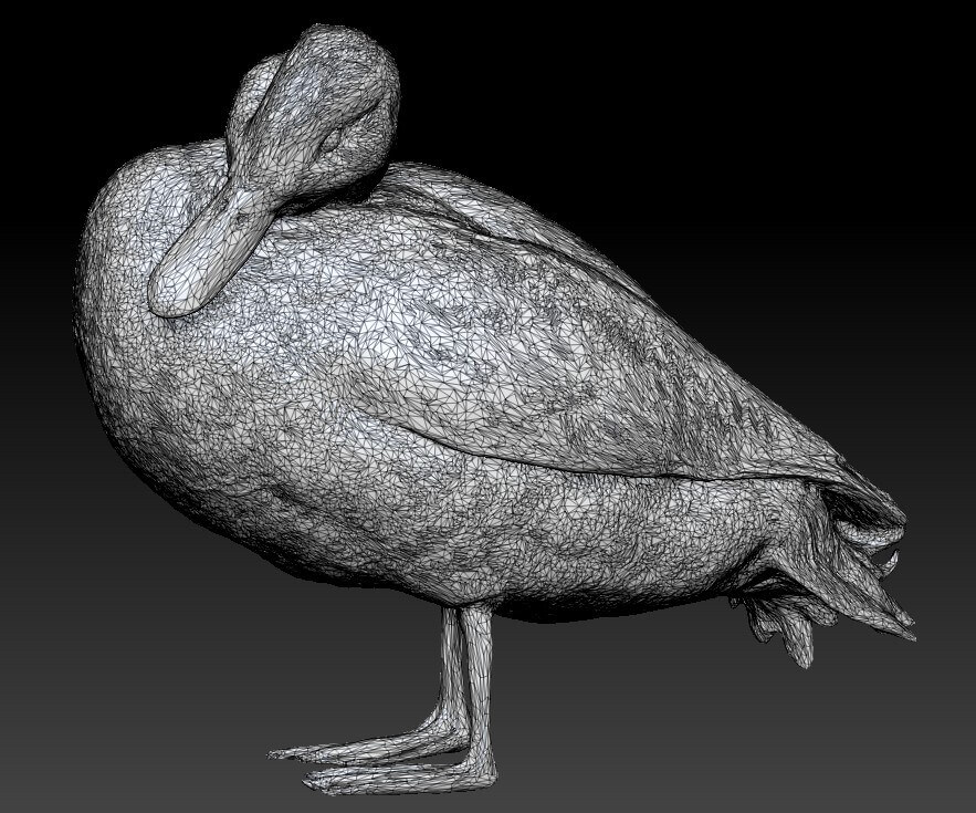 Duck 16 - 3D Model by deep3dstudio