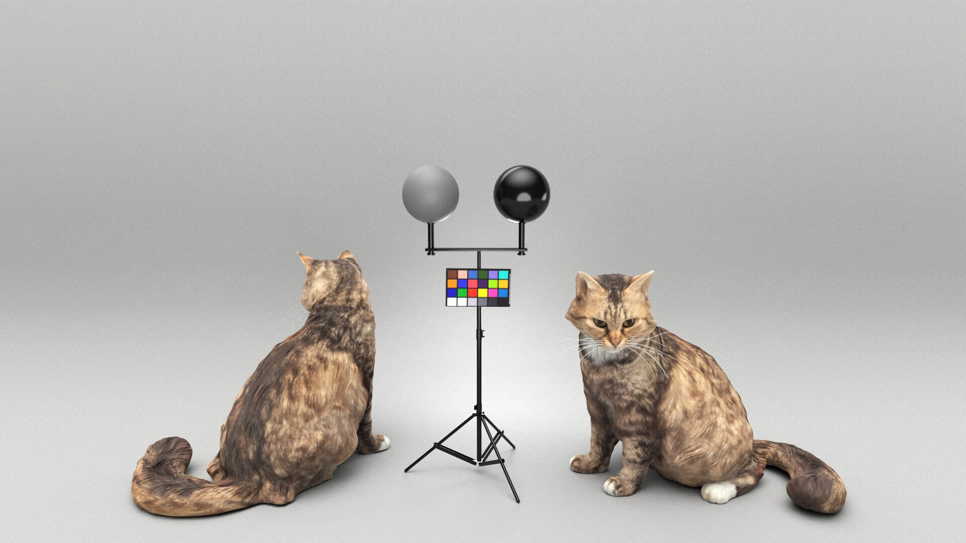 Fluffy Cat 28 - 3D Model by deep3dstudio