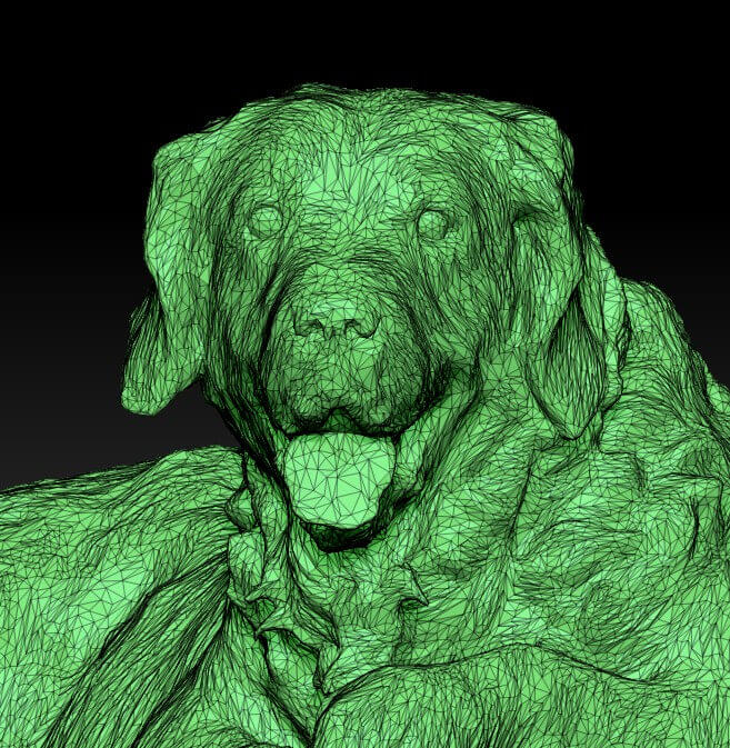 Golden Retriever 17 - 3D Model by deep3dstudio