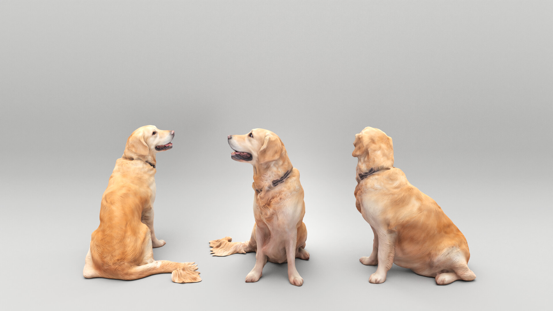 Golden Retriever 38 - 3D Model by deep3dstudio