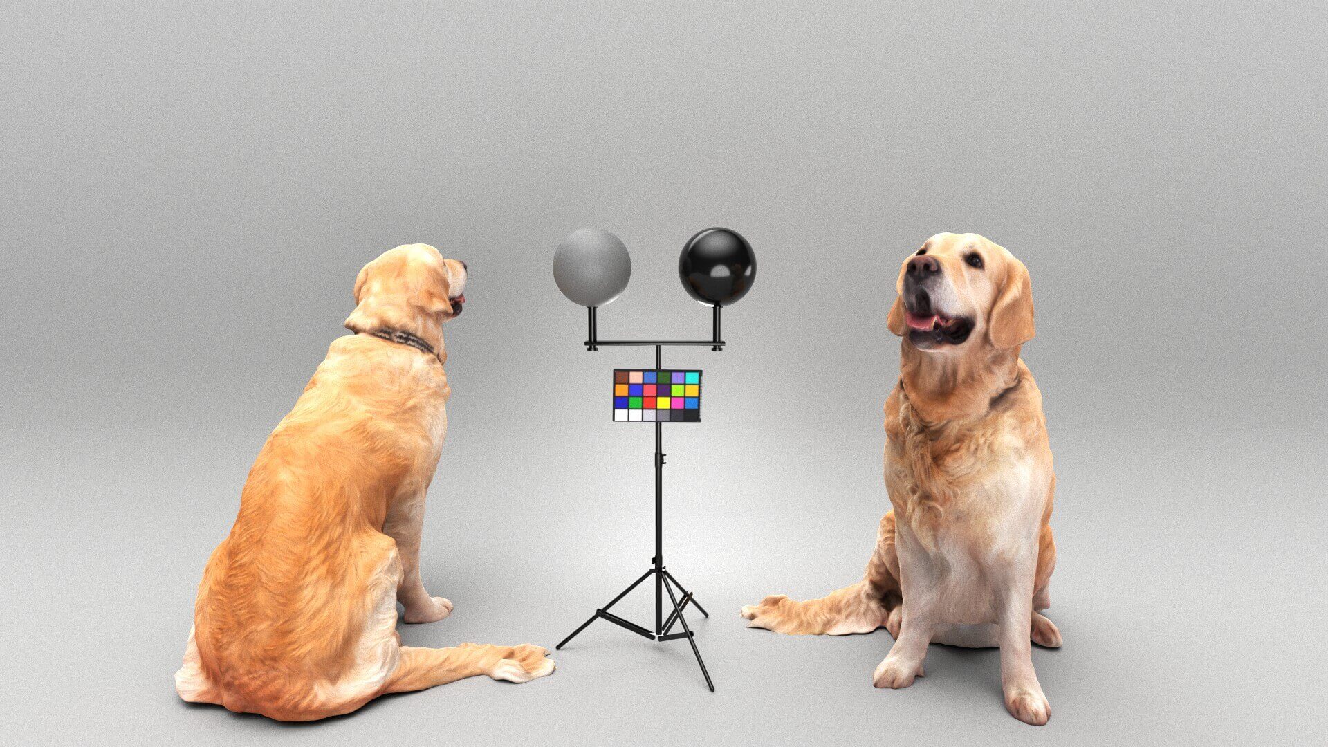 Golden Retriever Dog 23 - 3D Model by deep3dstudio