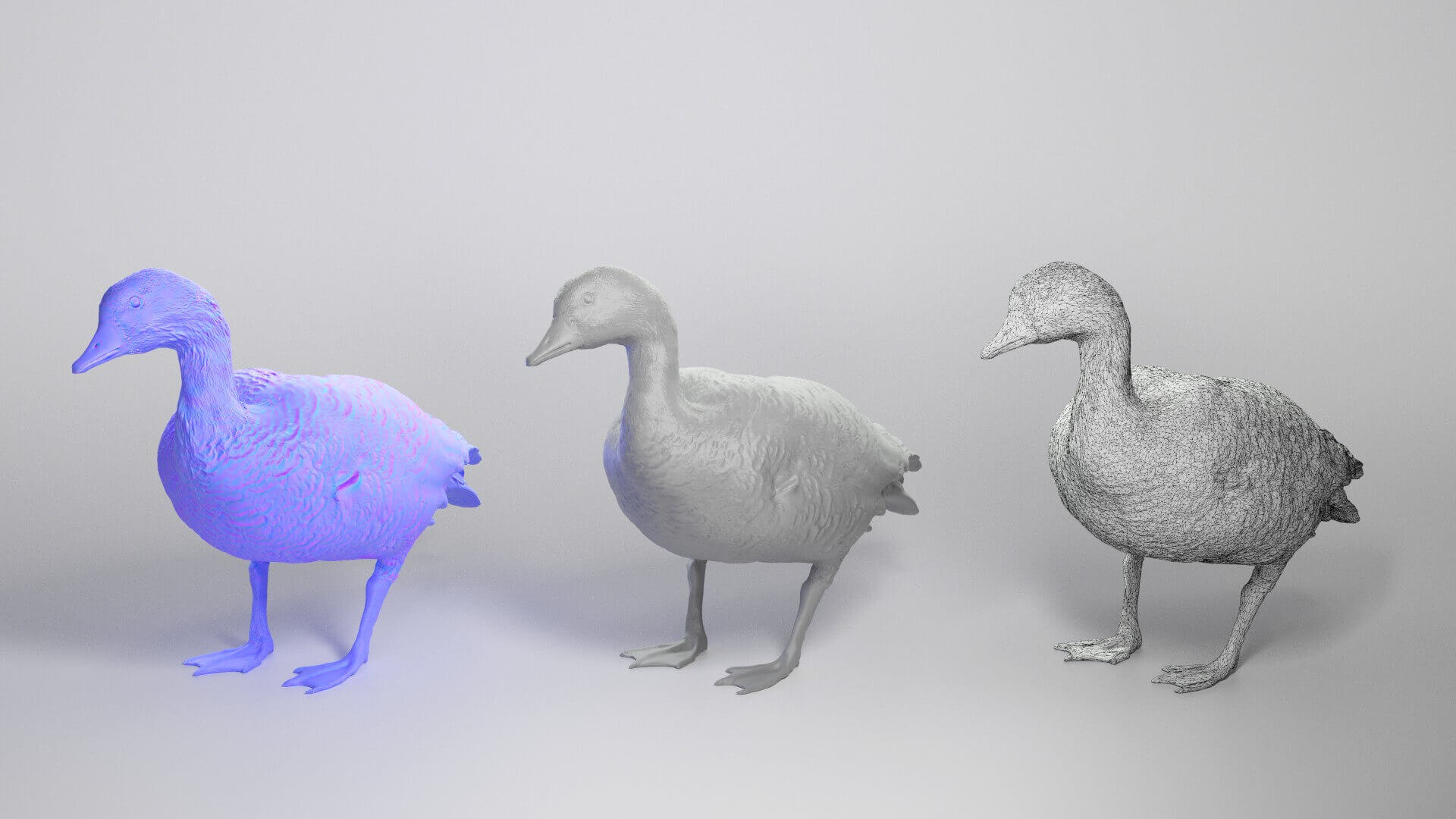 Goose 19 - 3D Model by deep3dstudio