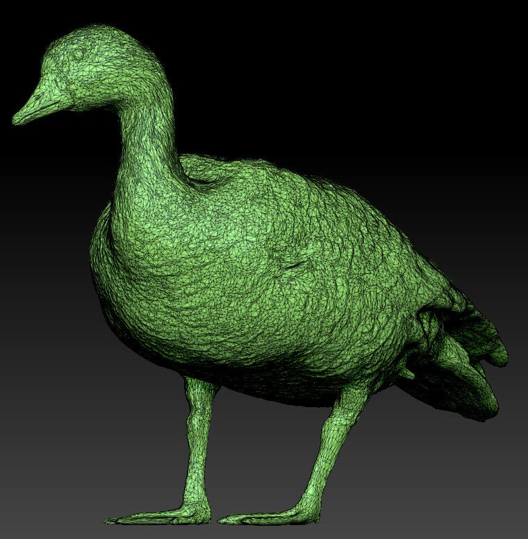 Goose 19 - 3D Model by deep3dstudio