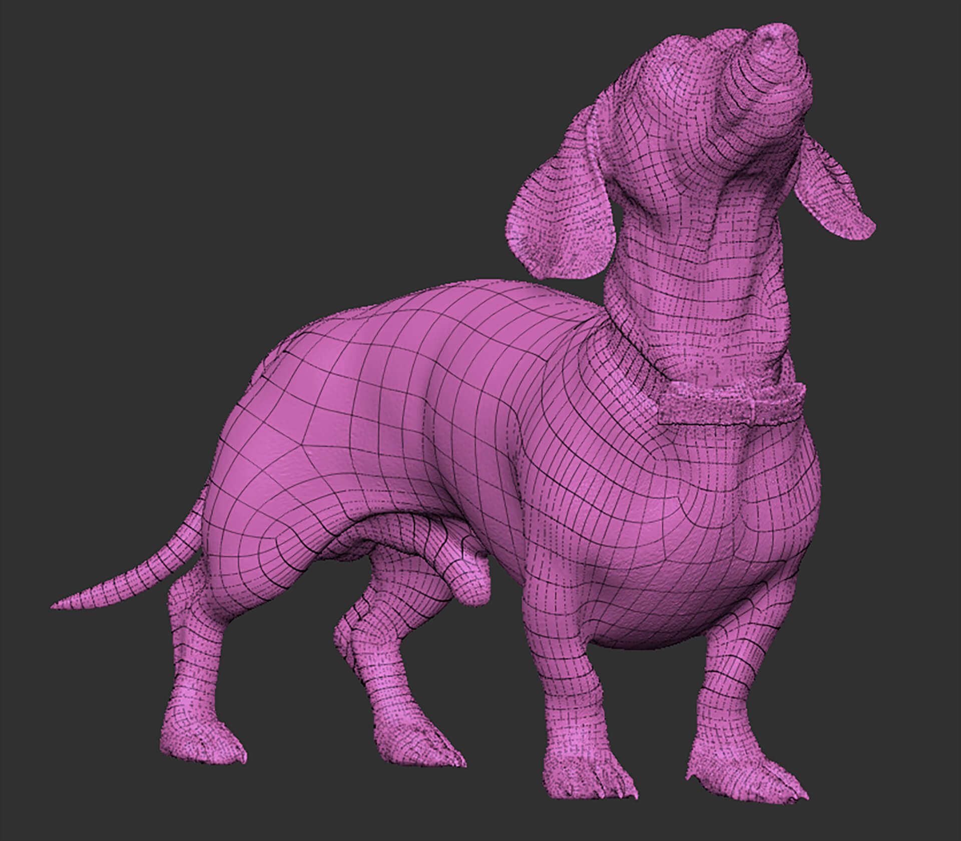 Playful Dachshund Dog 35 - 3D Model by deep3dstudio