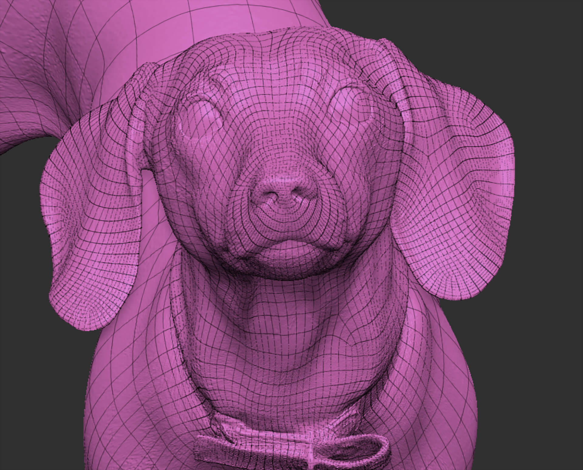 Playful Dachshund Dog 35 - 3D Model by deep3dstudio