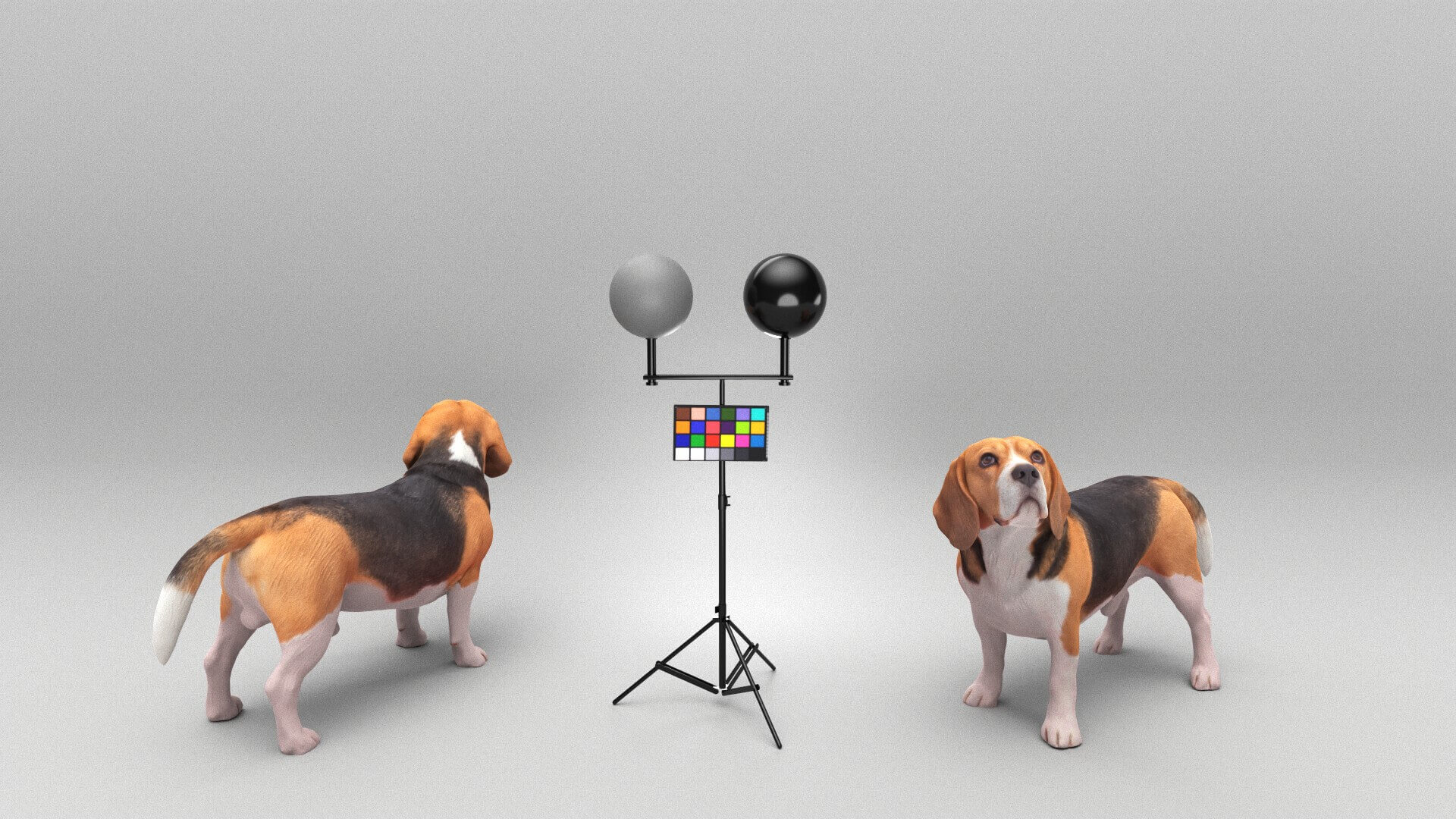 Walking Dog 27 - 3D Model by deep3dstudio