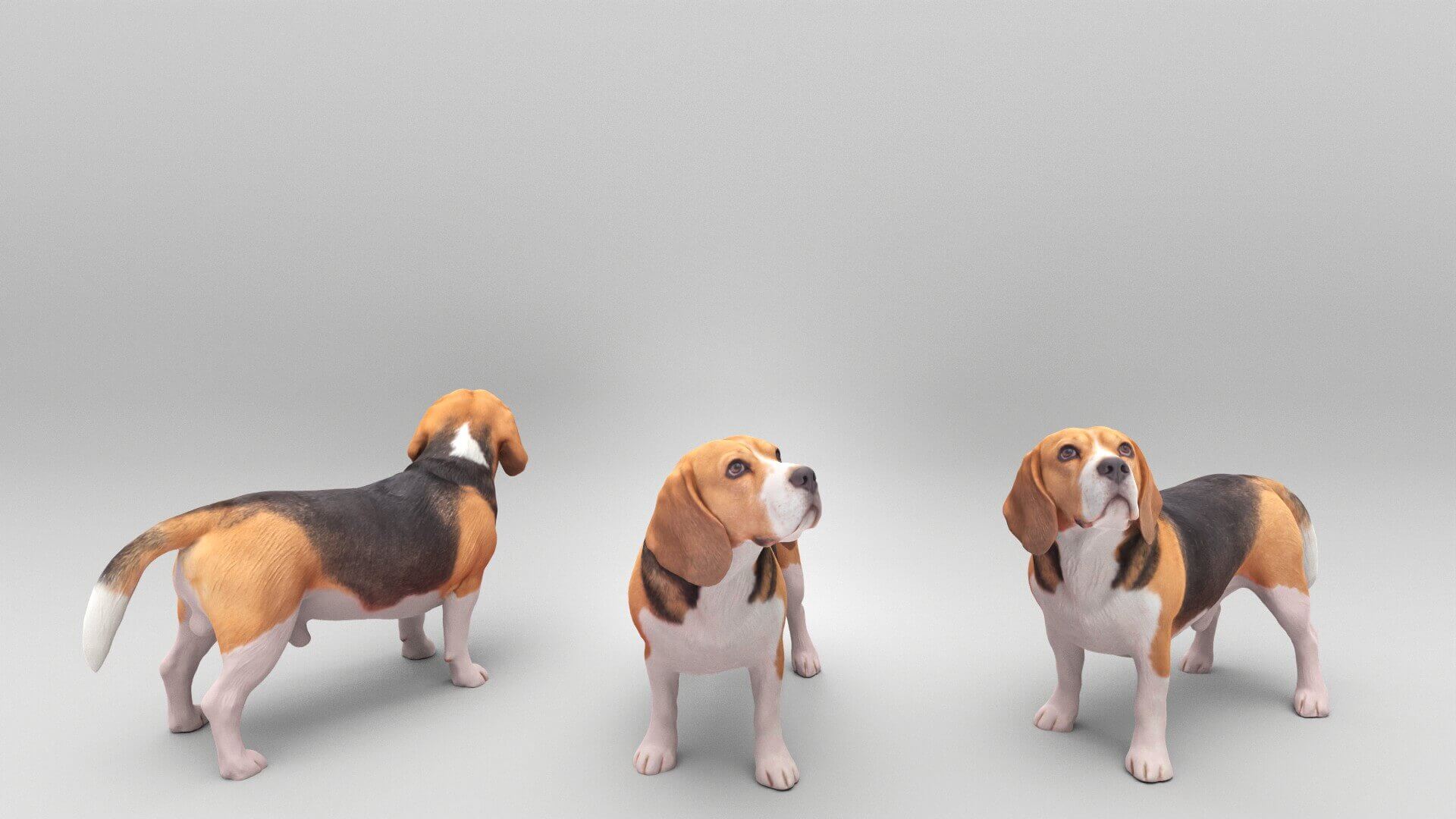 Walking Dog 27 - 3D Model by deep3dstudio