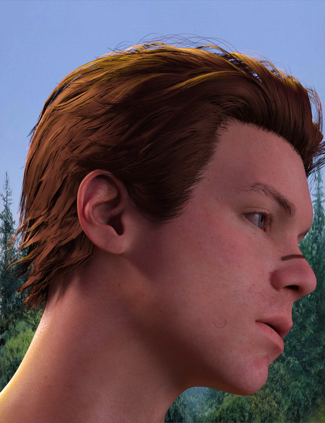 Cal Hair - Objects & Universal 3D Model by den