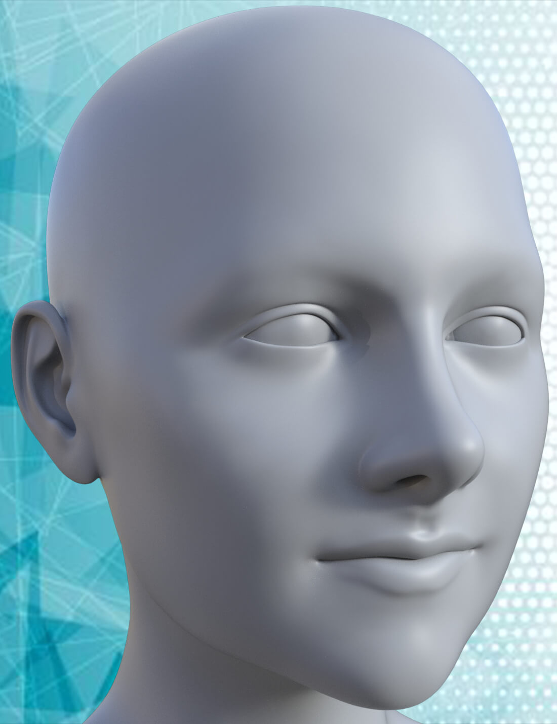 LT Genesis 9 Head Morphs Vol 1 Base Female Fit - 3D Model by den