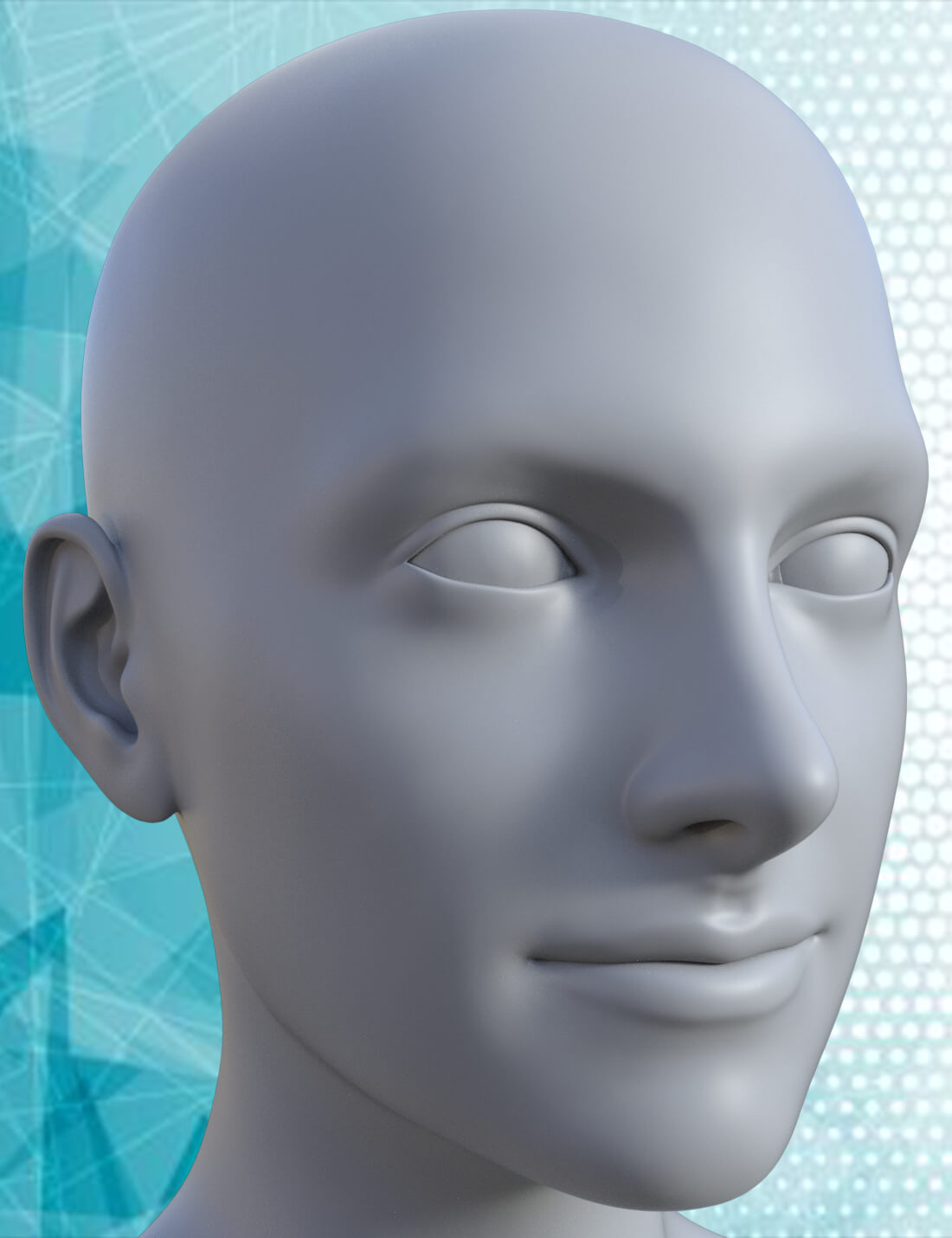 LT Genesis 9 Head Morphs Vol 1 Base Female Fit - 3D Model by den