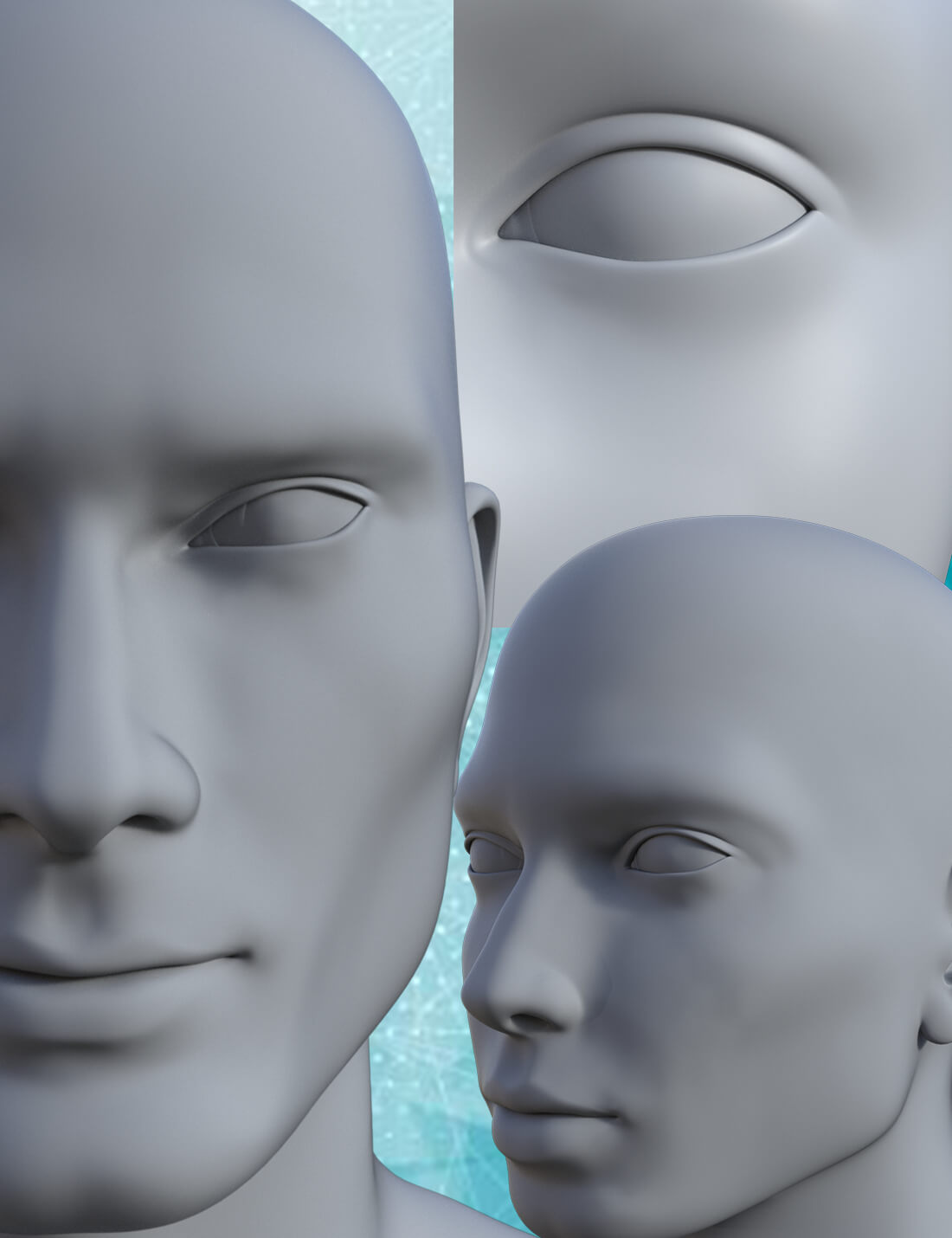 LT Head Morphs HD Vol 1 for Genesis 9 Base Male - Daz Content by den
